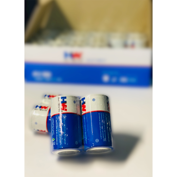 Pin Đại R20D carbon Hi-watt | Shopee Việt Nam