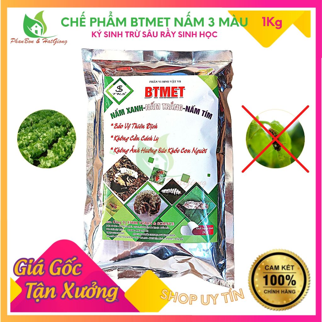 Chế phẩm sinh học TKS BTMET NẤM 3 MÀU - An toàn, Không cần cách ly ...