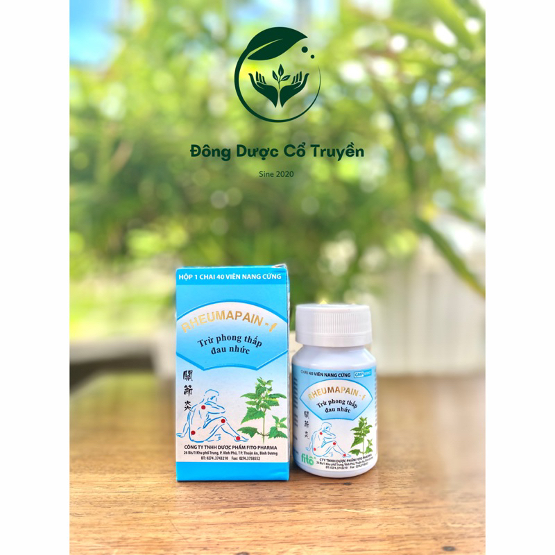 Rheumapain fito - Trừ Phong Thấp Đau Nhức | Shopee Việt Nam