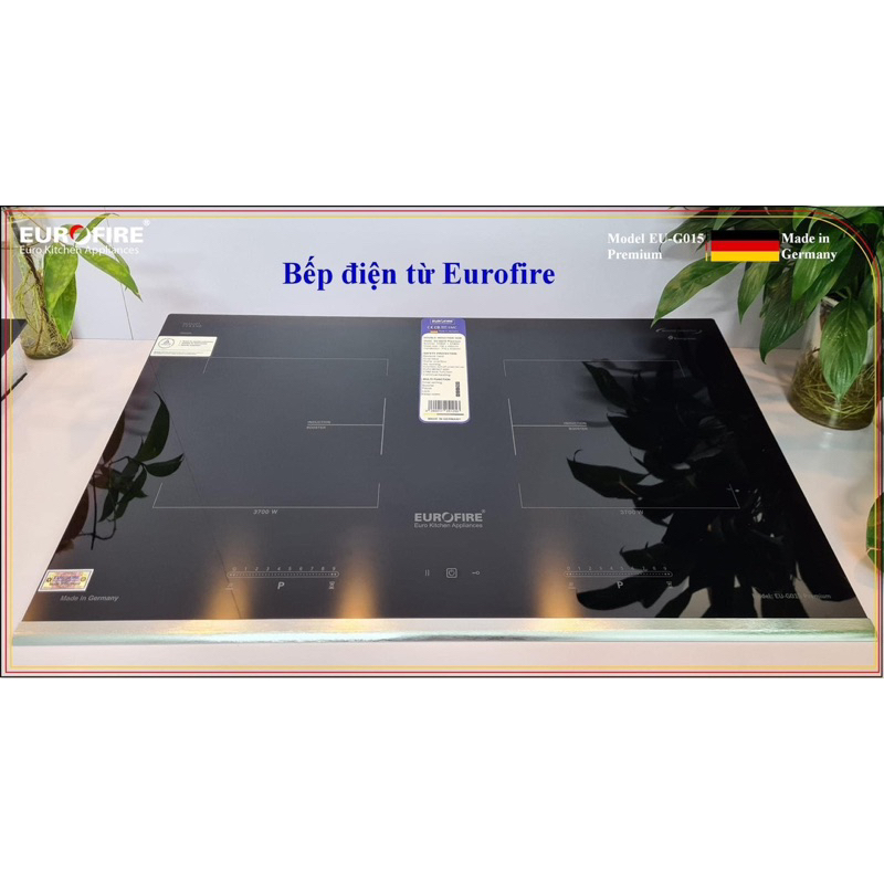 Bếp Điện Từ nhập khẩu Đức EUROFIRE EU-G015 | Shopee Việt Nam