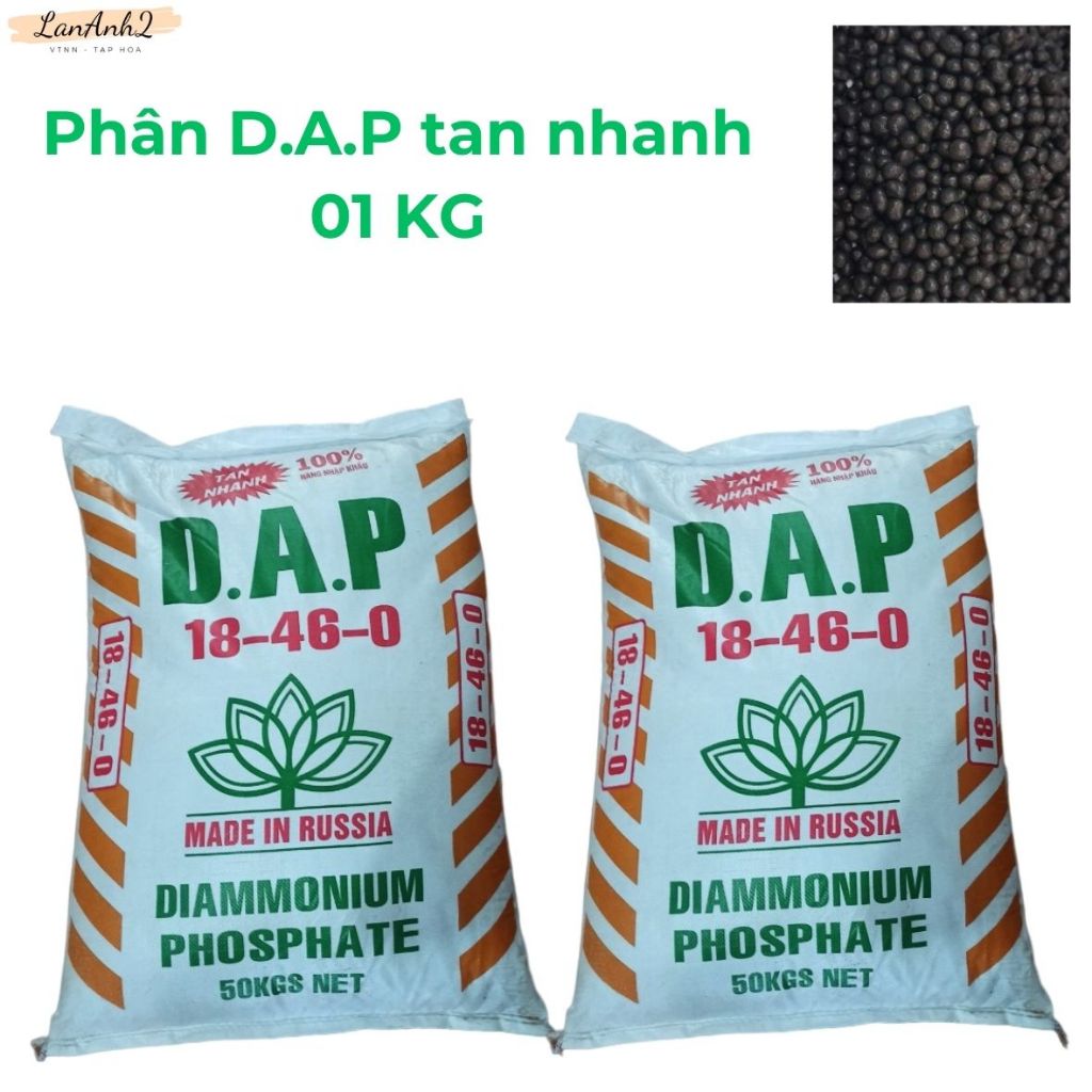 1 kg phân DAP Nga/ DAP Hàn Quốc tan nhanh, giúp bộ rễ phát triển nhanh ...