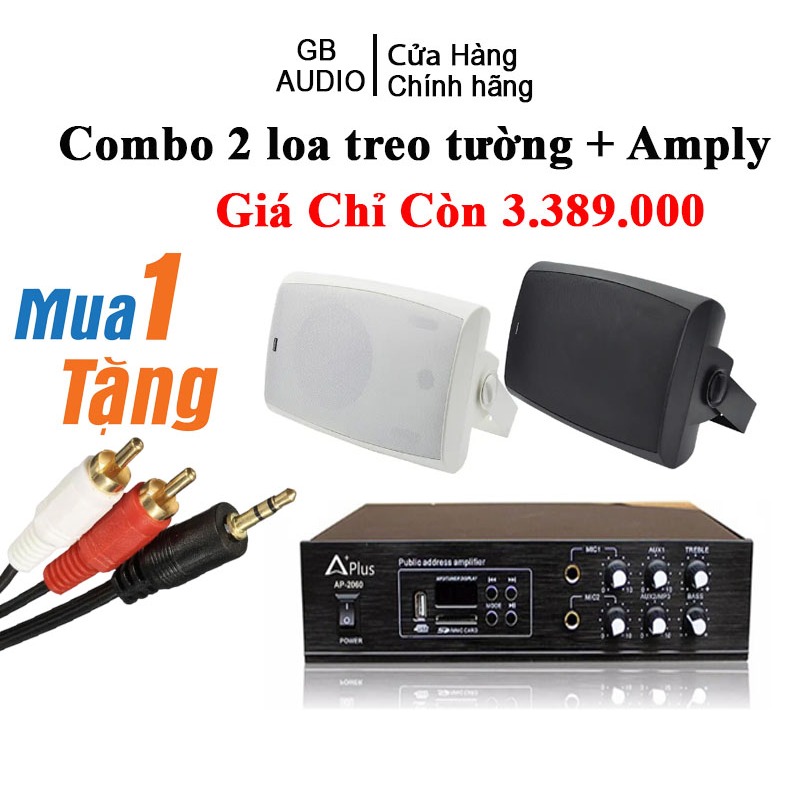 Combo 2 Loa treo tường 20W + 1 Amply 60w kết nối USB dành cho quán cafe - quán bia - viện thẩm ...
