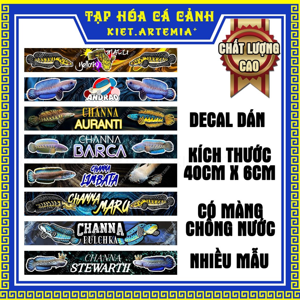 Decal Dán Bể Cá Lóc Cảnh, Trang Trí Bể Cá Cho Cá Lóc Cảnh Chuyên Nghiệp ...