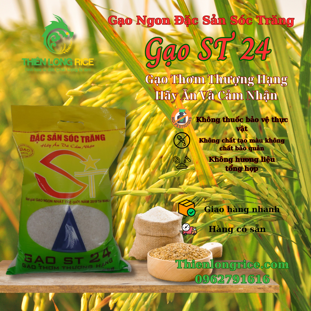Gạo ST 24 Túi 5 Kg Đặc Sản Sóc Trăng Hàng Loại 1 Thiên Long Rice Gạo ...