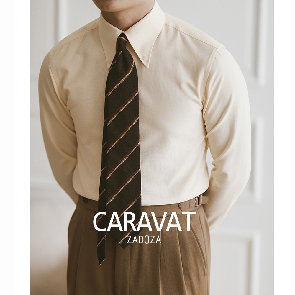 Cà vạt caravat cho nam mặc suit, vest, dự tiệc mã C9 - A8001 | Shopee Việt Nam