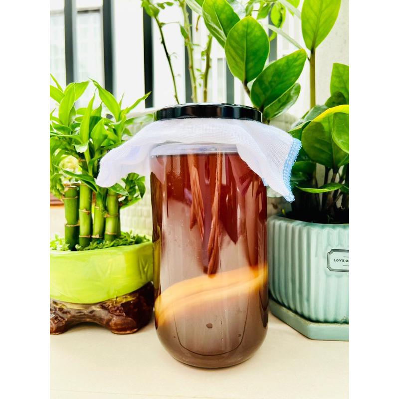 Hũ thủy tinh 1000ml - Đựng gia vị, đồ uống, nuôi kefir, scoby làm trà ...