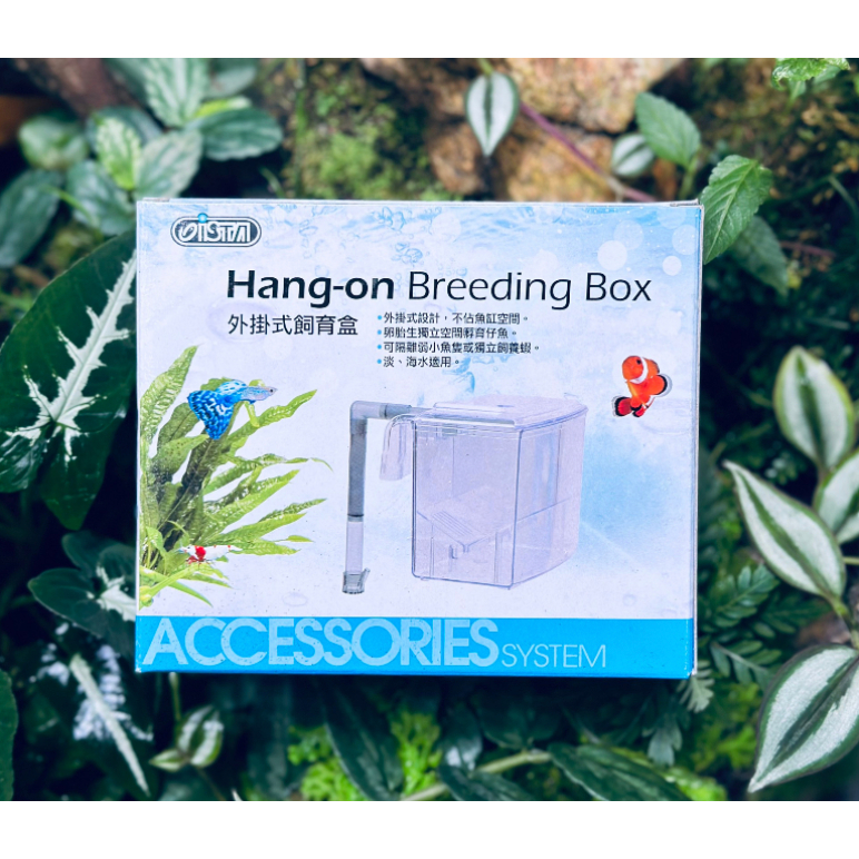 Box dưỡng cá tép cảnh trong hồ thủy sinh cao cấp Hang-On Ista | Shopee ...