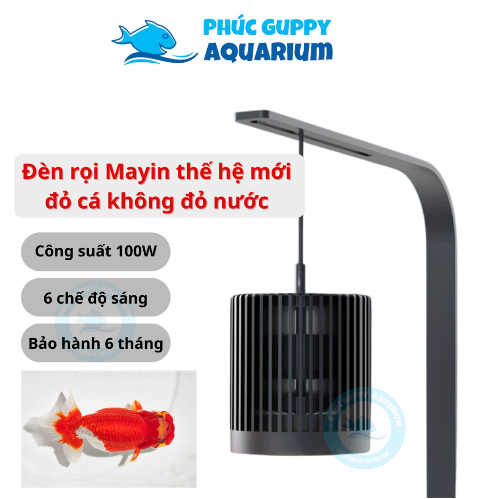 Đèn Rọi Mayin 100W Thế Hệ Mới (6 Chế Độ Sáng Và Hẹn Giờ Tắt) | Shopee ...