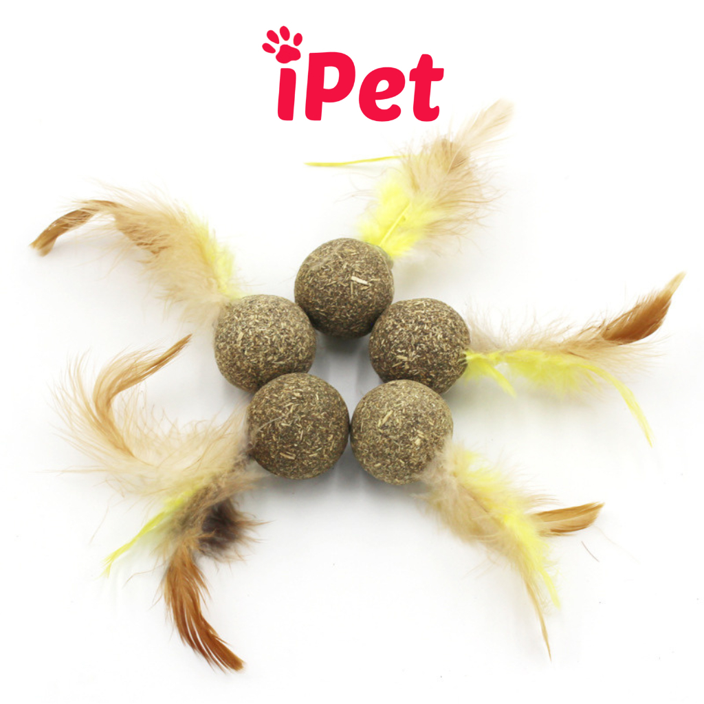 Bóng Cỏ Mèo Lông Vũ Cho Mèo, Cỏ Mèo Khô, Đồ Chơi Hỗ Trợ Hệ Tiêu Hóa Cho Thú Cưng - iPet Shop ...