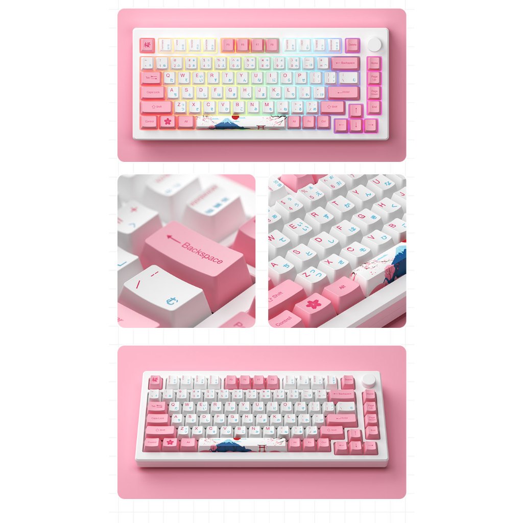 Bàn Phím Cơ Akko MOD007B PC | Shopee Việt Nam