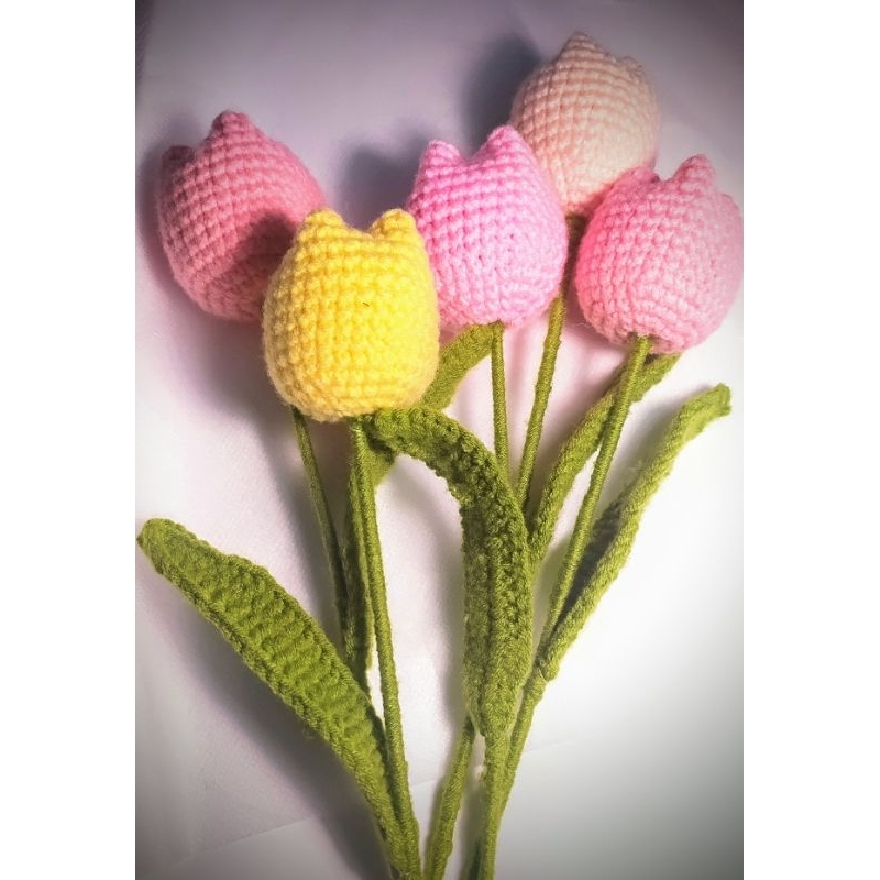 hoa tulip len | Shopee Việt Nam