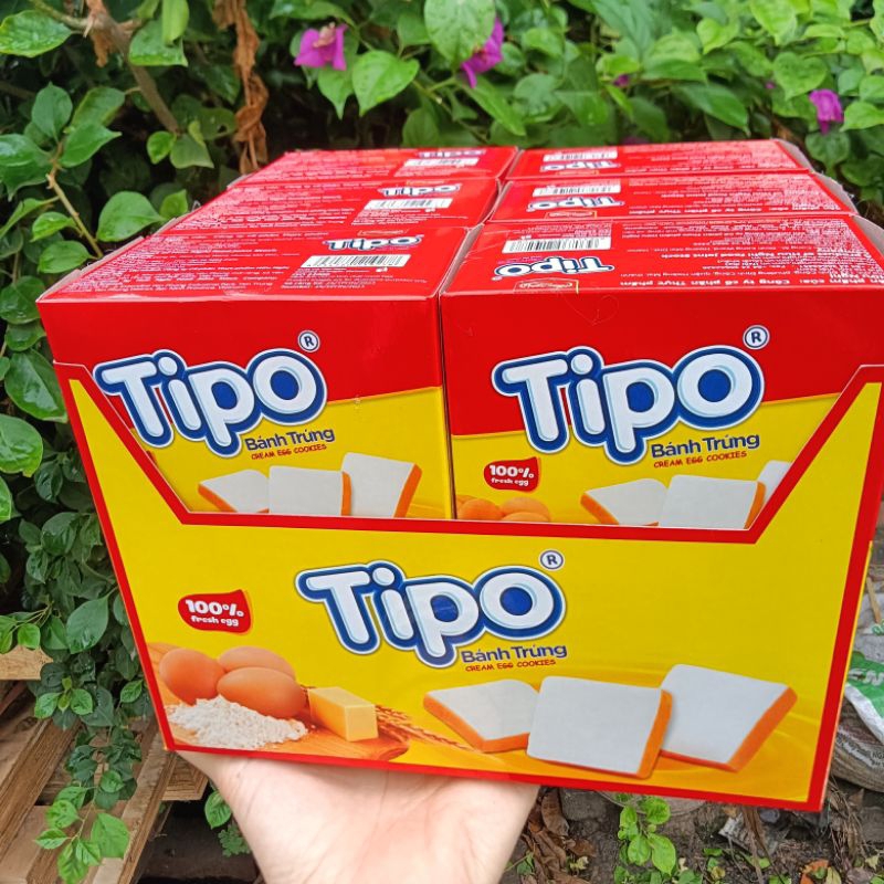 Bánh Trứng Tipo Lễ 12 Hộp/Lốc | Shopee Việt Nam