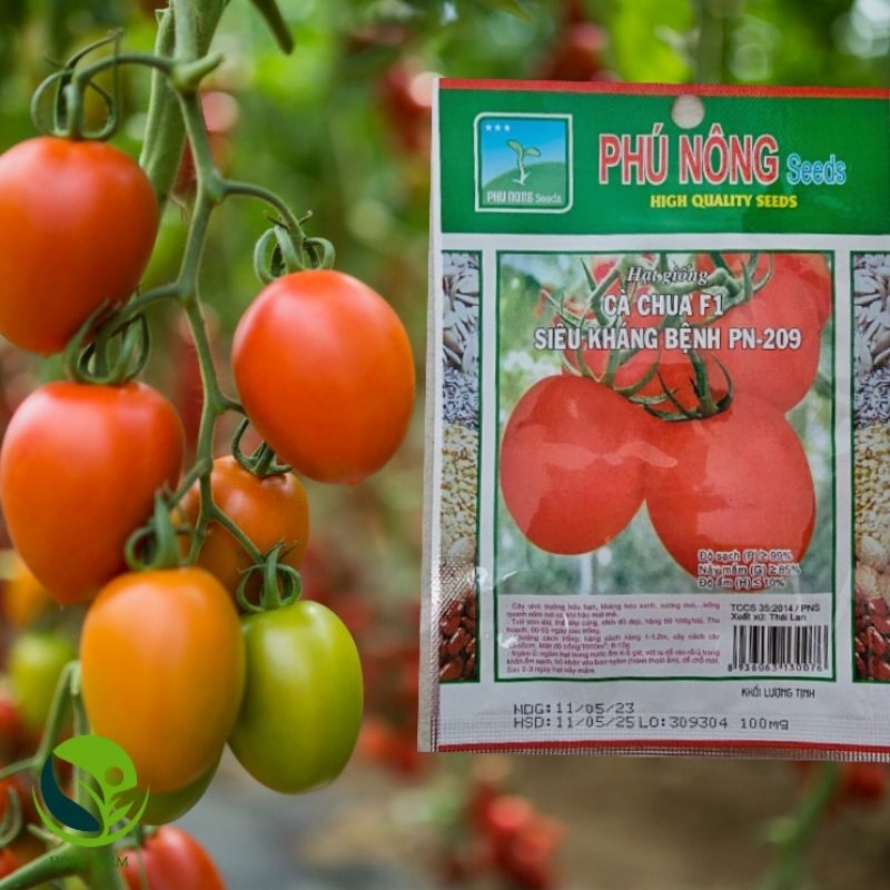 Hạt Giống Cà chua F1 siêu kháng bệnh PN-209 Phú Nông- Gói 0.1gr | Shopee Việt Nam