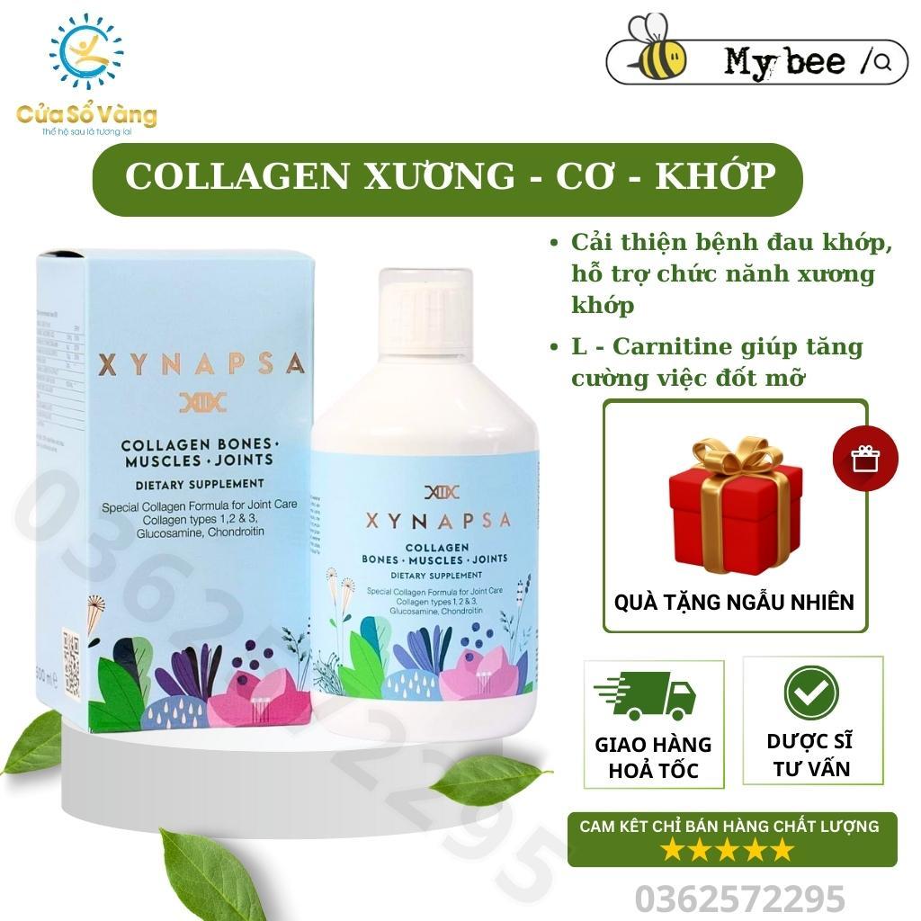 Cơ xương khớp - Bones - Muscles - Joints bộ tứ Xynapsa Cửa Sổ Vàng ...