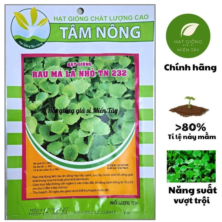 Hạt Giống Rau Má Lá Nhỏ TN 232 TÂM NÔNG (GÓI 1G)-Lá nhỏ, thơm, sinh ...