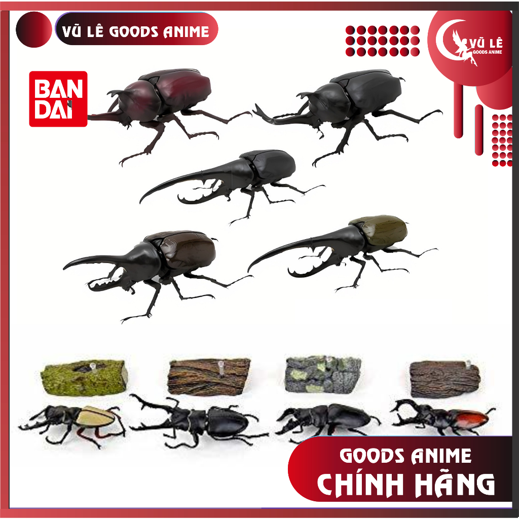 Mô hình các loài bọ cánh cứng chính hãng Bandai - Deagostini World ...