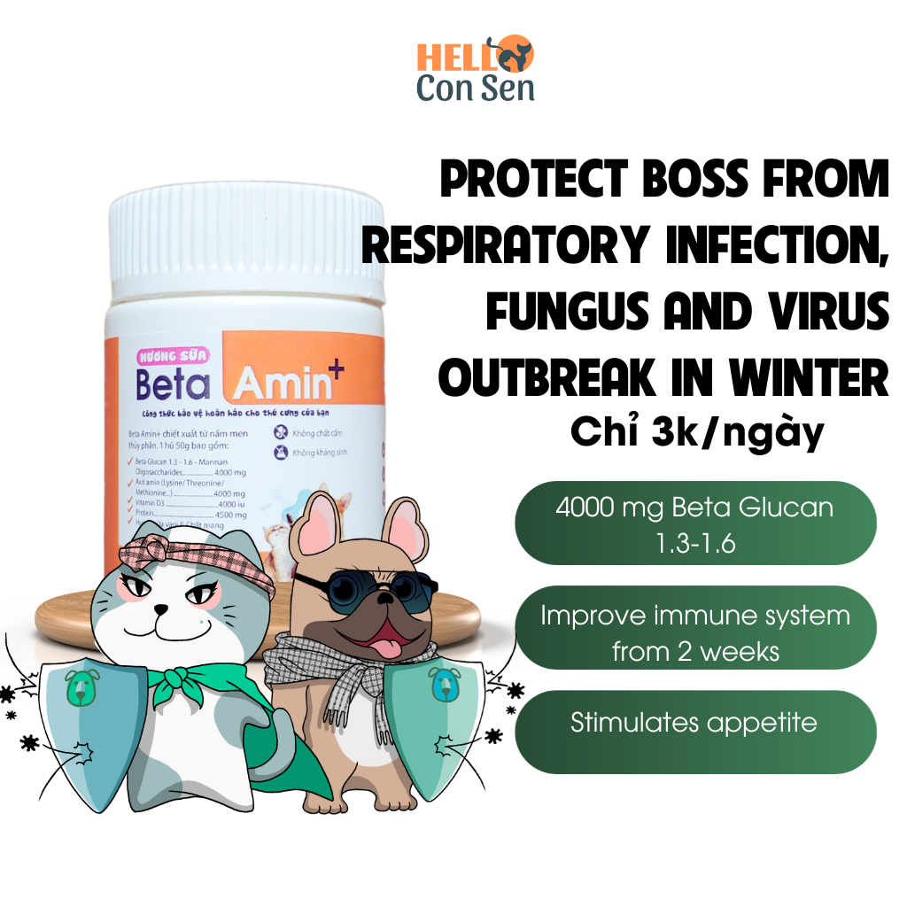 Bột Beta Amin tăng cường đề kháng vitamin bổ sung dinh dưỡng chó mèo hỗ ...