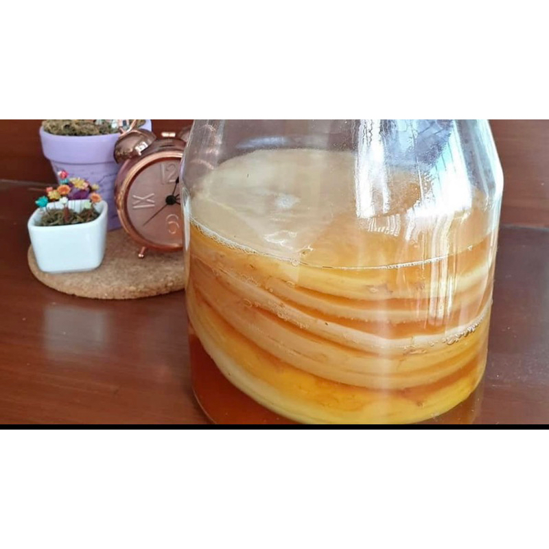 Con Men ScoBy | Shopee Việt Nam