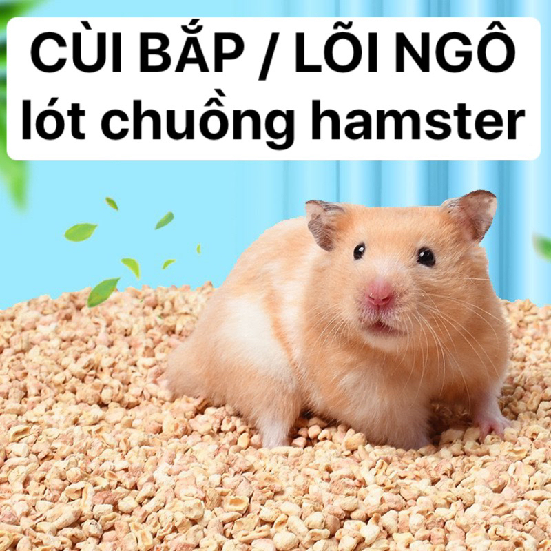 CÙI BẮP LÕI NGÔ lót chuồng cho Hamster / Bò sát / Lưỡng cư | Shopee ...