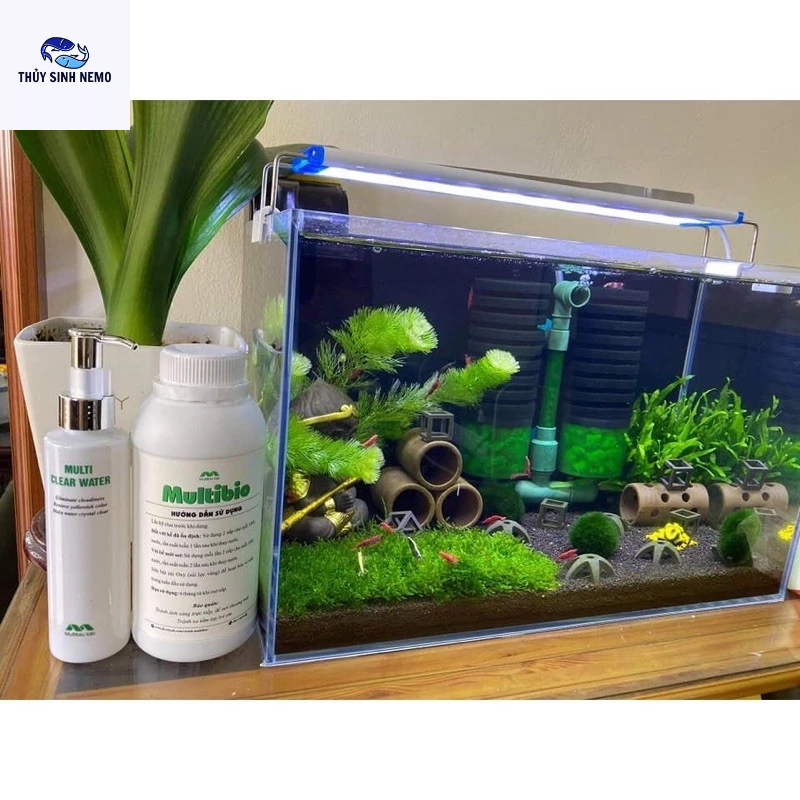 Men Vi Sinh MultiBio - Clear Water Multi bio Giúp Tạo Vi Sinh, Làm ...