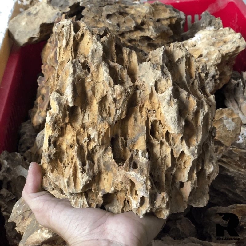 đá Tiger [1kg] setup bể thủy sinh tiểu cảnh trang trí bể c | Shopee ...