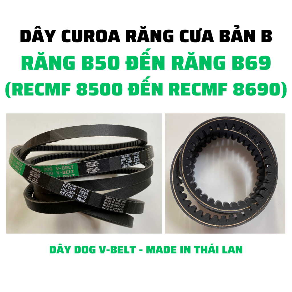 Dây curoa răng cưa bản B: B50 B51 B52 B53 B54 B55 B56 B57 B58 B59 B60 B61 B62 B63 B64 B65 B66 ...