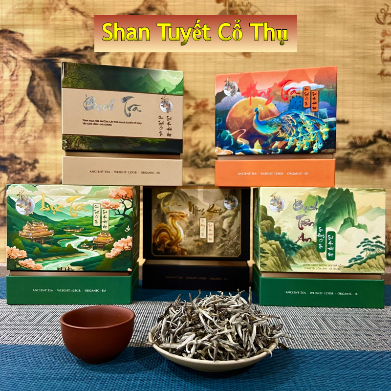 5 Hộp Trà Shan Tuyết Rừng Cổ Thụ Thượng Hạng [ HOÀNG ĐAN TEA ] Cao Cấp ...