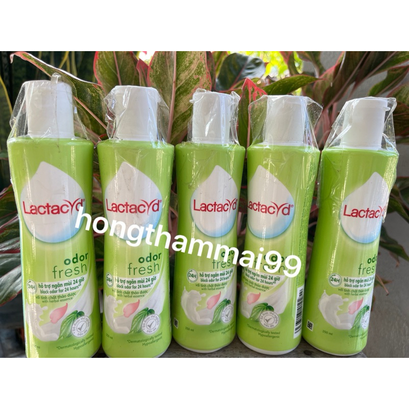 combo 5 chai vệ sinh lactacyd 250ml/chai date 2026 | Shopee Việt Nam