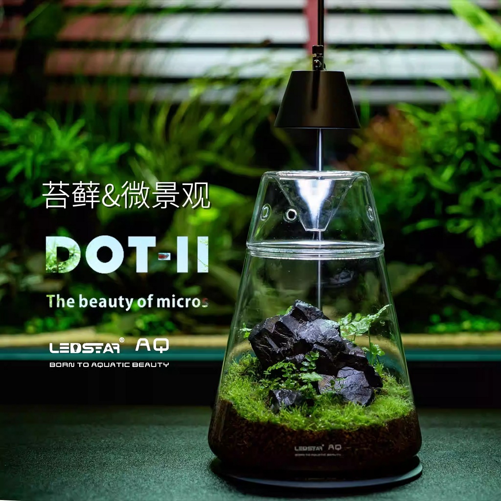 [BH 06 tháng] LEDSTAR - DOT 2 | Bộ hồ bán cạn Terrarium, tiểu cảnh trang trí bàn làm việc ...