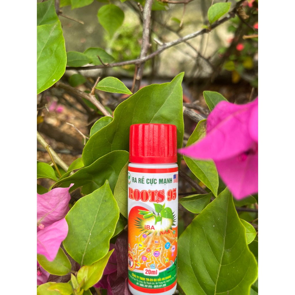 ROOTS 90 Ra Rễ Cực Mạnh | Shopee Việt Nam