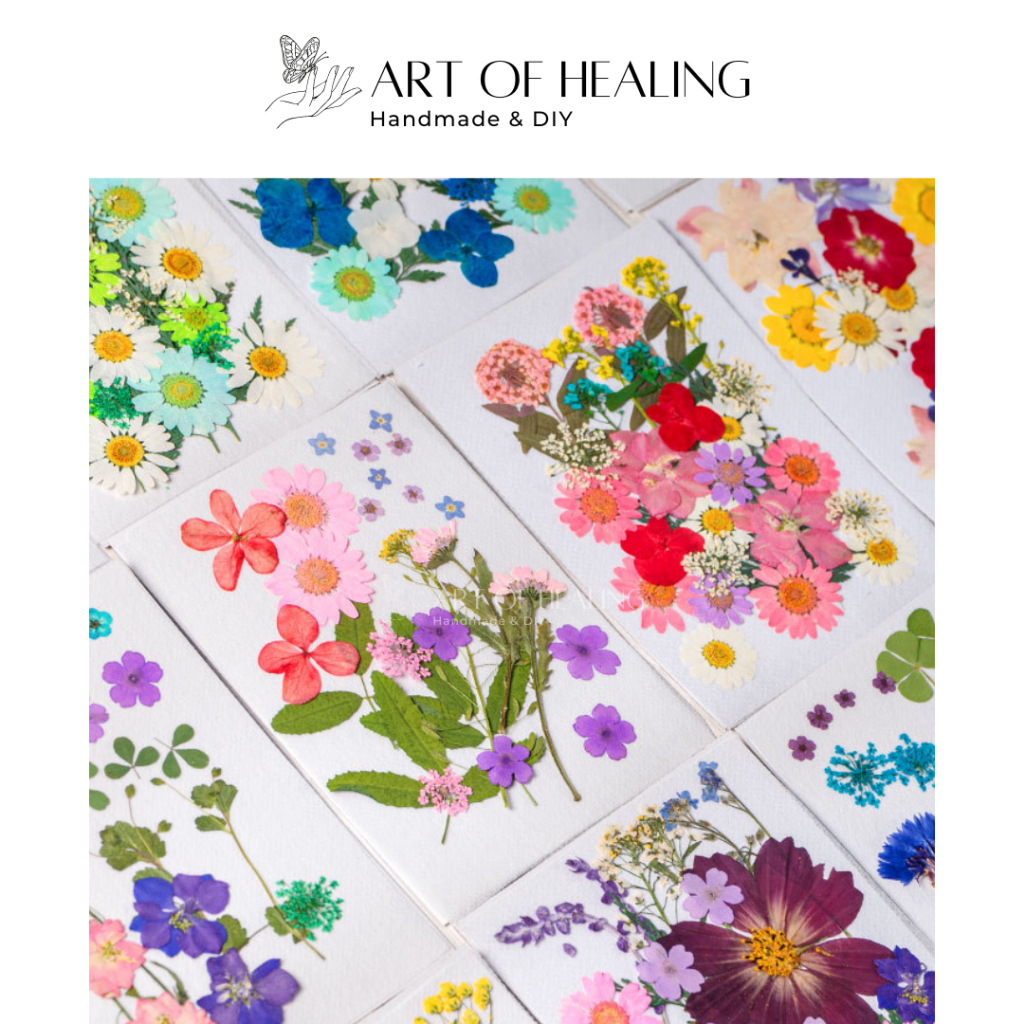 [AOH - Art of Healing] Set hoa ép khô các loại trang trí nến, resin, sổ ...