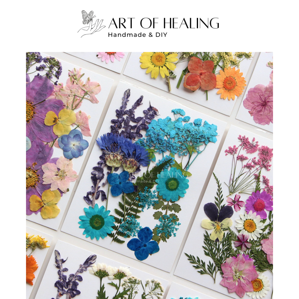 [AOH - Art of Healing] Set hoa ép khô các loại trang trí nến, resin, sổ ...