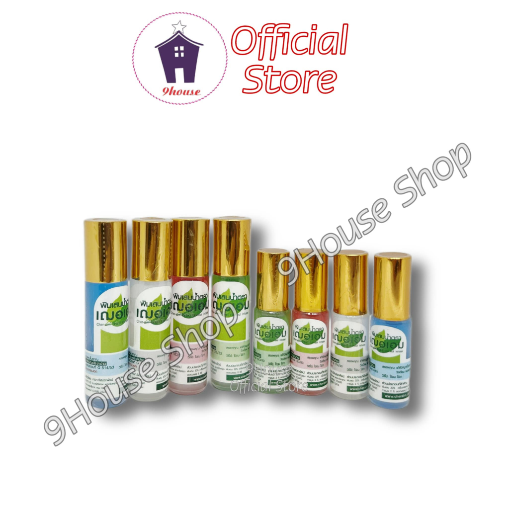 01 Chai Dầu Lăn Băng Phiến Thảo Dược Cher Aim Brand Borneol Inhaler ...