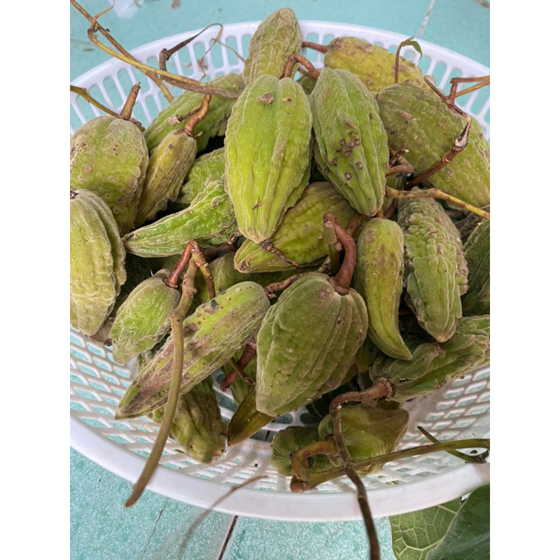 500G QUẢ MẮC SIM RỪNG CHUA CHÁT MẮC SIN | Shopee Việt Nam