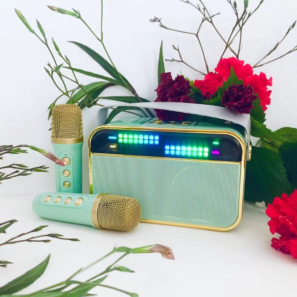 Di Động Karaoke YS-132/Mini Karaoke Bluetooth Có Micro(2 Tích Hợp Micro ...