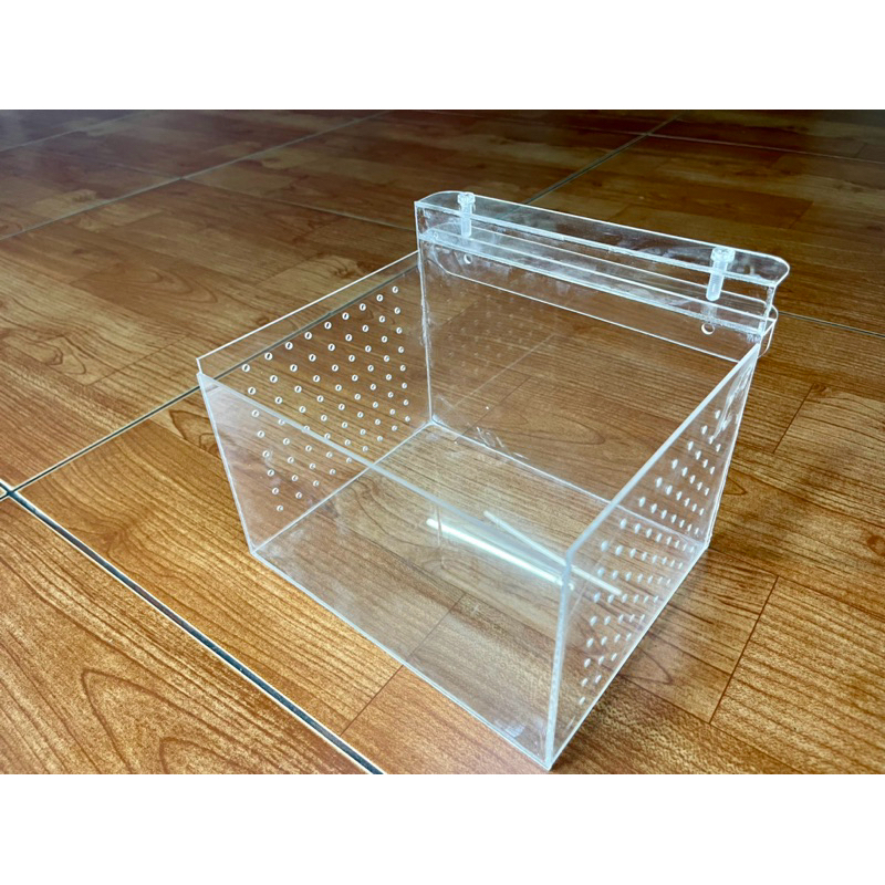 box mica dưỡng cá, tép | Shopee Việt Nam