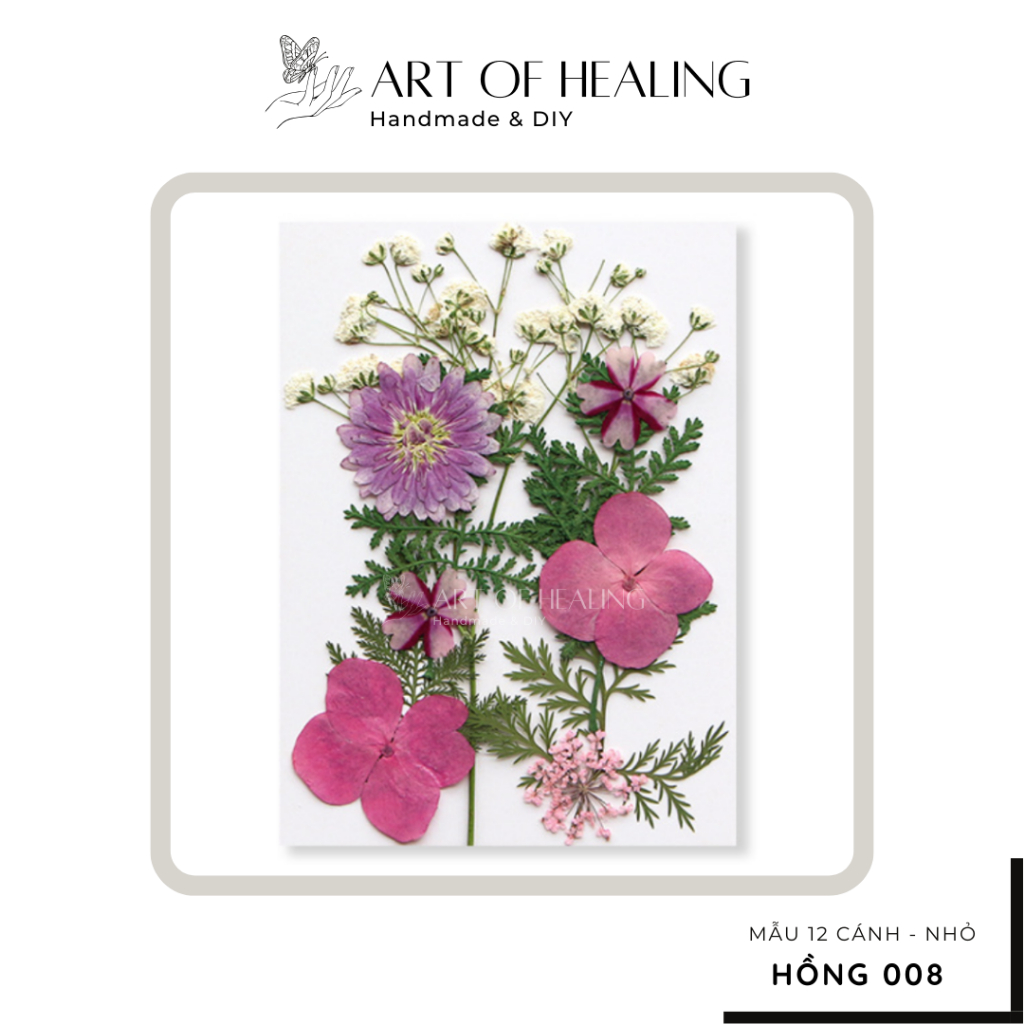 [AOH - Art of Healing] Set hoa ép khô các loại trang trí nến, resin, sổ ...