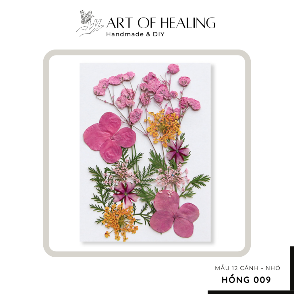[AOH - Art of Healing] Set hoa ép khô các loại trang trí nến, resin, sổ ...