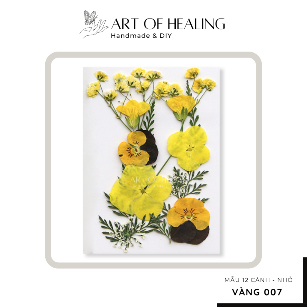 [AOH - Art of Healing] Set hoa ép khô các loại trang trí nến, resin, sổ ...