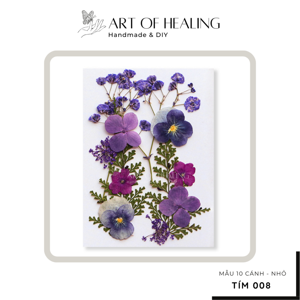 [AOH - Art of Healing] Set hoa ép khô các loại trang trí nến, resin, sổ ...