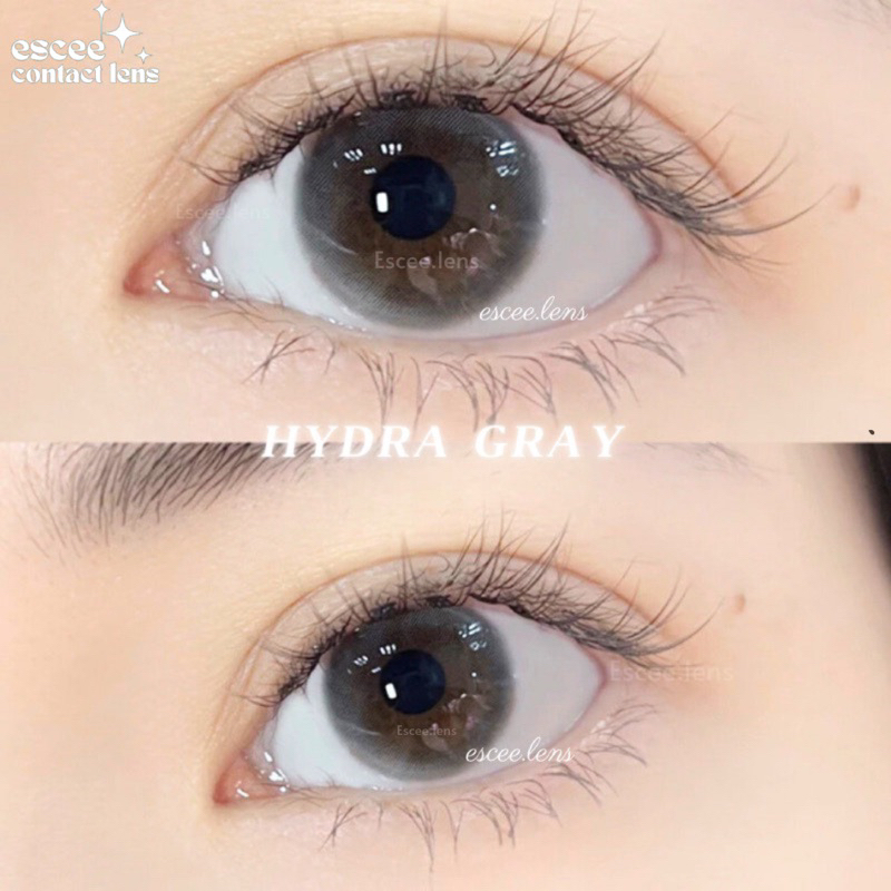 1 Cặp Lens kính áp tròng Hydra Gray - xám trong veo không viền giãn ...