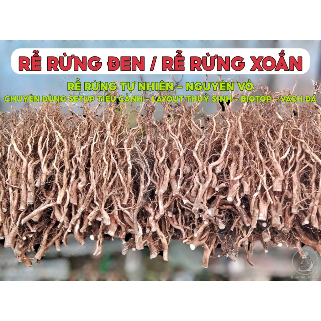 Lũa Rễ Rừng Nguyên Vỏ | Lũa Rễ Dương Trang Trí, Setup Layout Bể Thuỷ ...