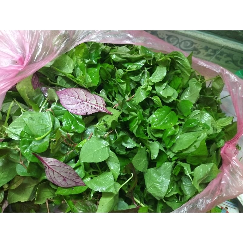 rau tập tàng 1kg | Shopee Việt Nam