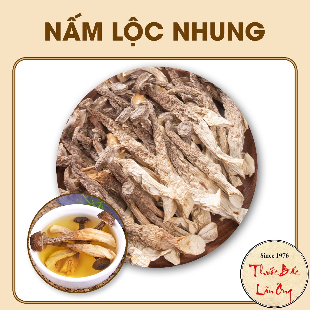 Nấm lộc nhung 100g (Nấm quý từ thiên nhiên, thơm ngon, bổ dưỡng ...