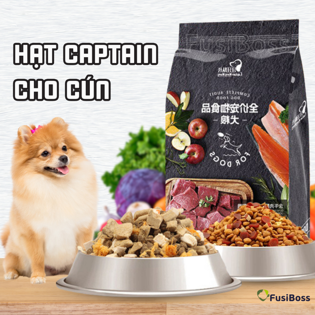 Hạt Thức Ăn CAPTAIN Cho Chó 2.5kg Đa Dạng Vị, Nhiều Thịt Sấy Khô ...