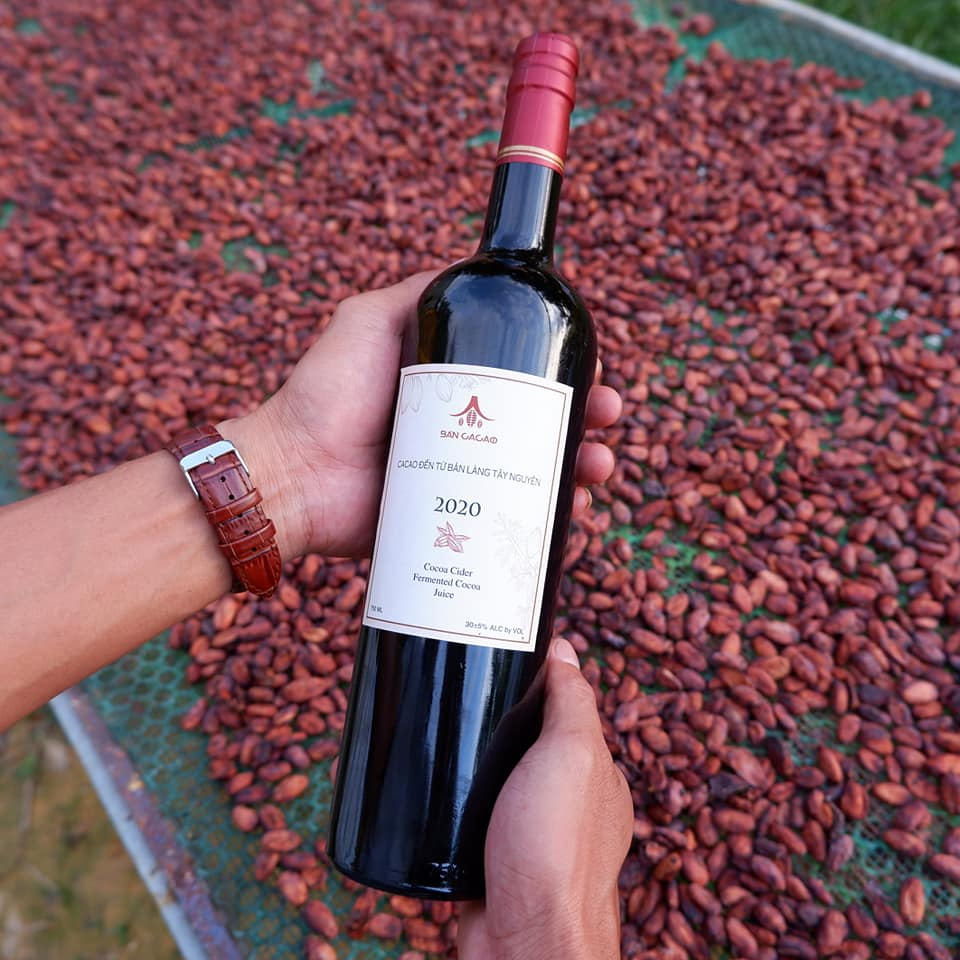 Nước trái Cacao lên men đặc biệt dễ uống, ngọt thanh, tốt cho sức khỏe ...