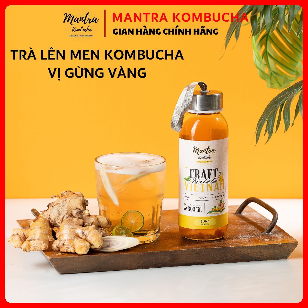 Trà Trái Cây Lên Men Kombucha Scoby Vị Gừng Vàng Thơm 300ml, Nước Uống ...