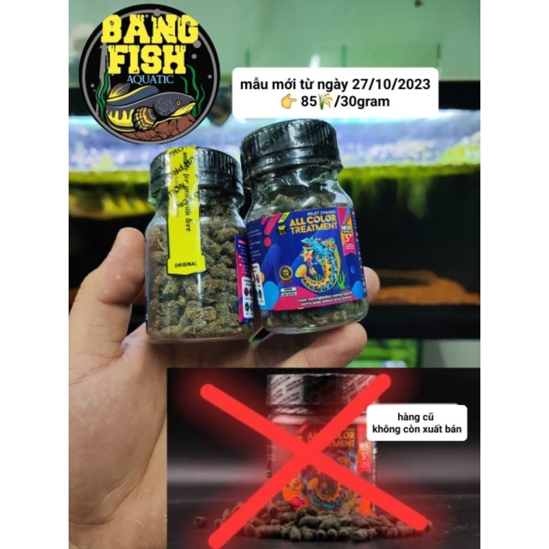 CÁM ALL COLOR TREAMENT BANGFISH ( chuyên cũng cấp đạm và màu cho tất cả ...