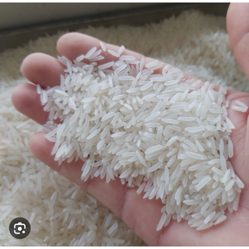 Gạo Lài Thơm 8 Mềm vừa, thơm túi 1 kg, 2kg | Shopee Việt Nam