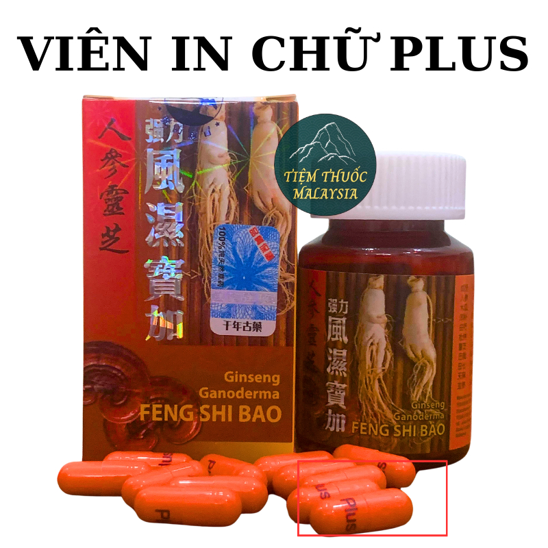 ( Viên Plus ) Gingseng Ganoderma Feng Shi Bao - NHÂN SÂM LINH CHI CƯỜNG LỰC PHONG THẤP BẢO 30V ...